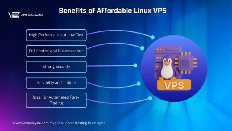Affordable Linux VPS That Packs a Punch | VPS Malaysia